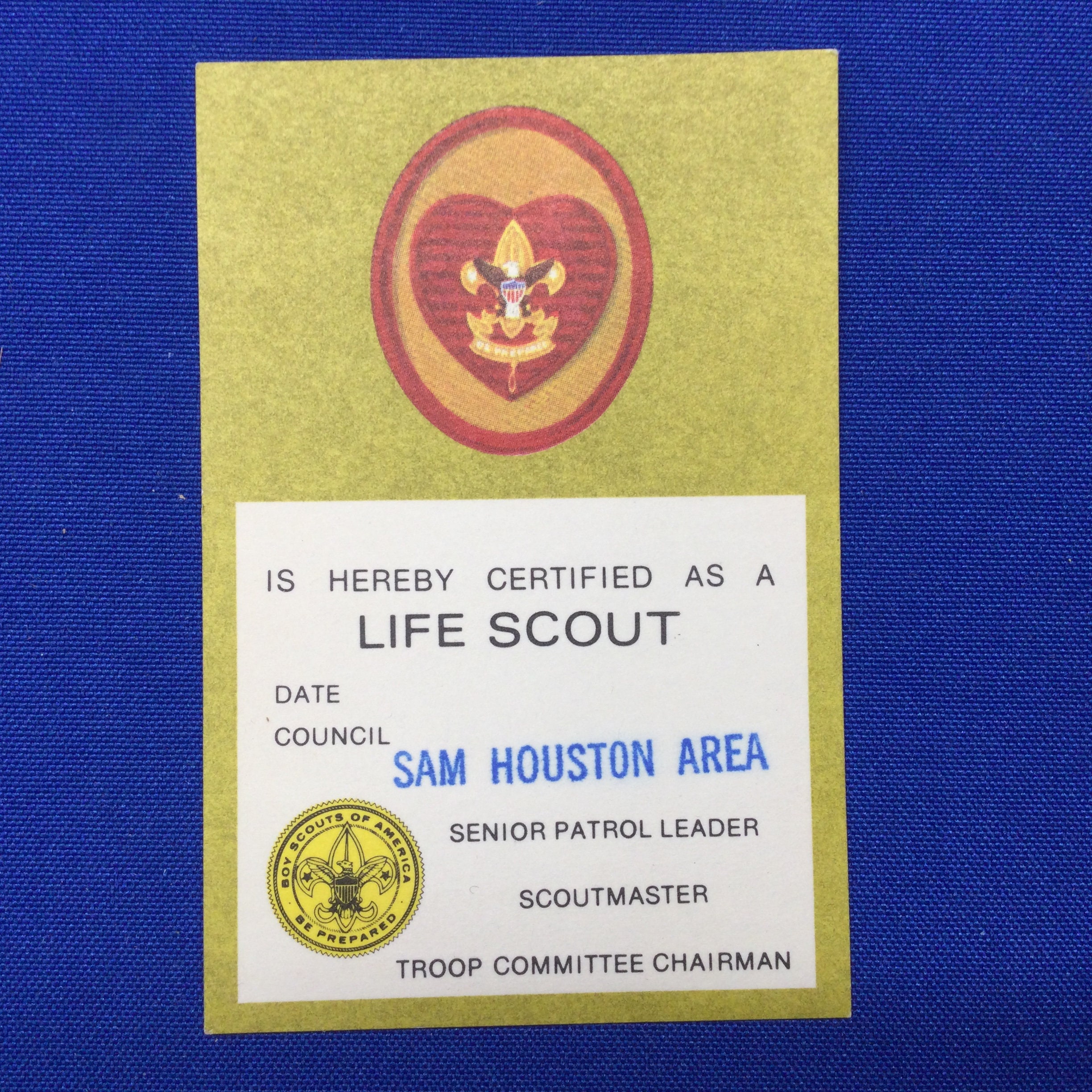 Boy Scout Rank Cards From 1970's Scout, Tenderfoot, 2nd Class, 1st ...