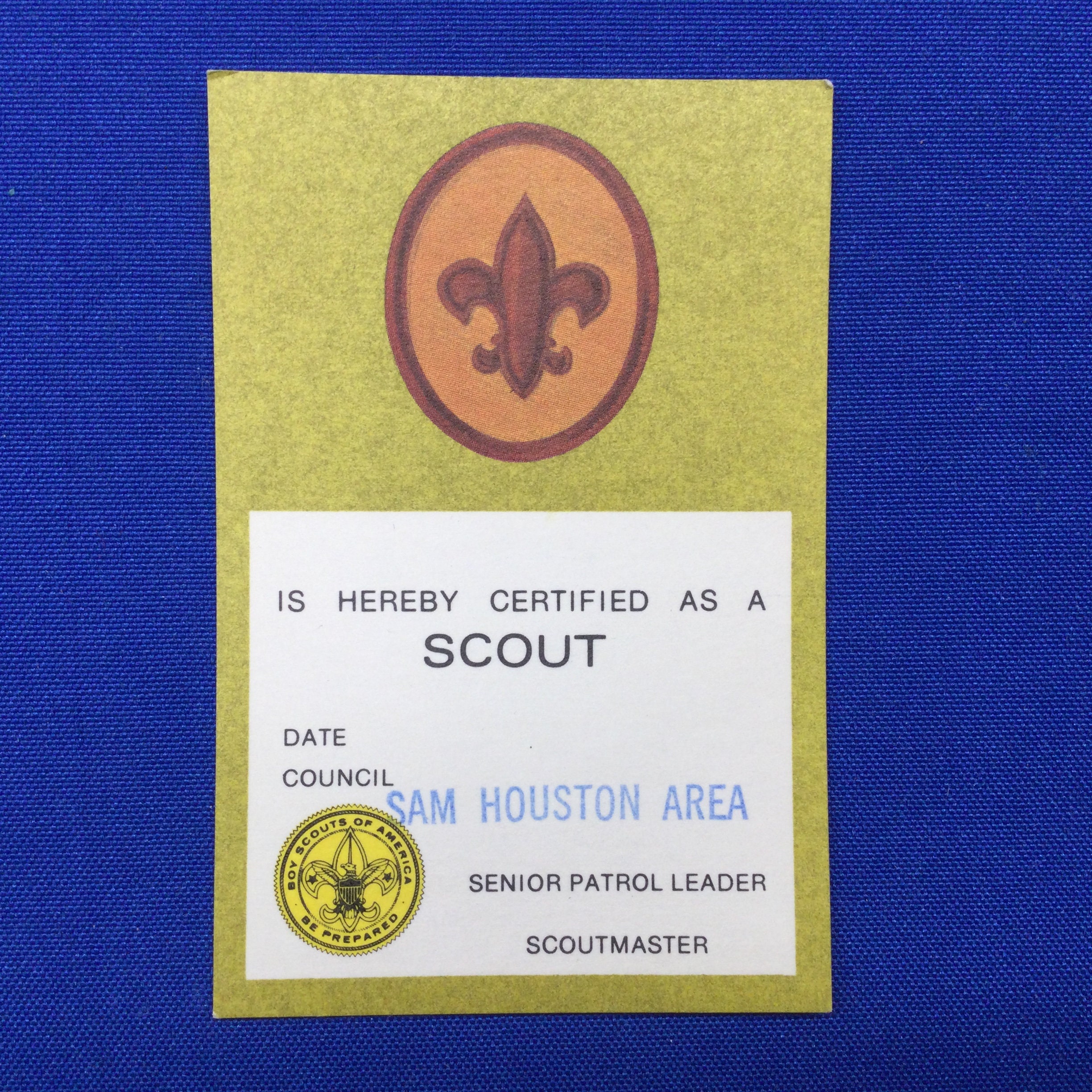 Boy Scout Rank Cards From 1970's Scout, Tenderfoot, 2nd Class, 1st ...