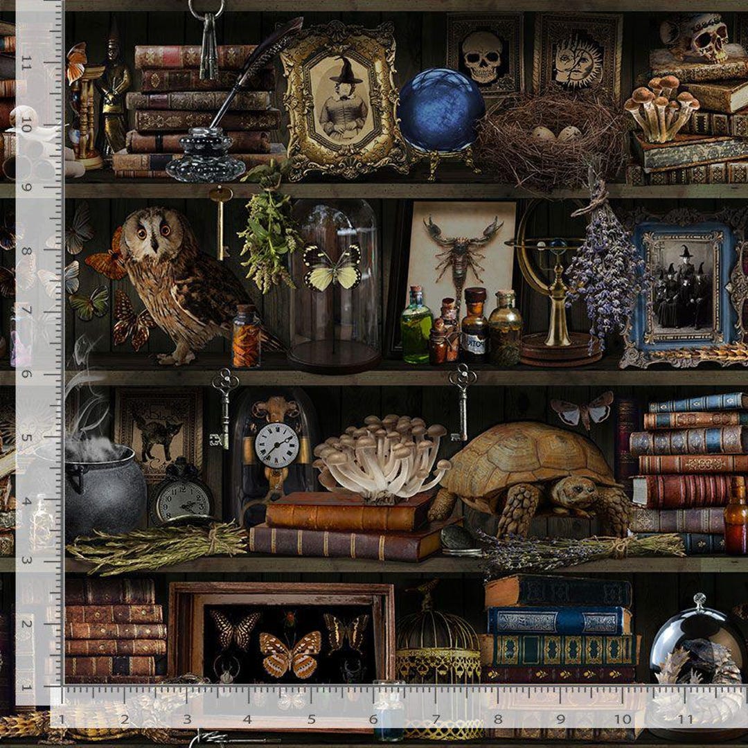 Library - Mad Scientist - Witch Apothecary Book Shelf (CD2877) in Brown ...