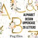 Alphabet With Watercolor Flowers, Floral Gold Letters, Gold Alphabet ...