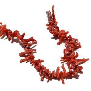 Natural Coral Beads, Coral Branch, Top Drilled, Original Italian Coral ...