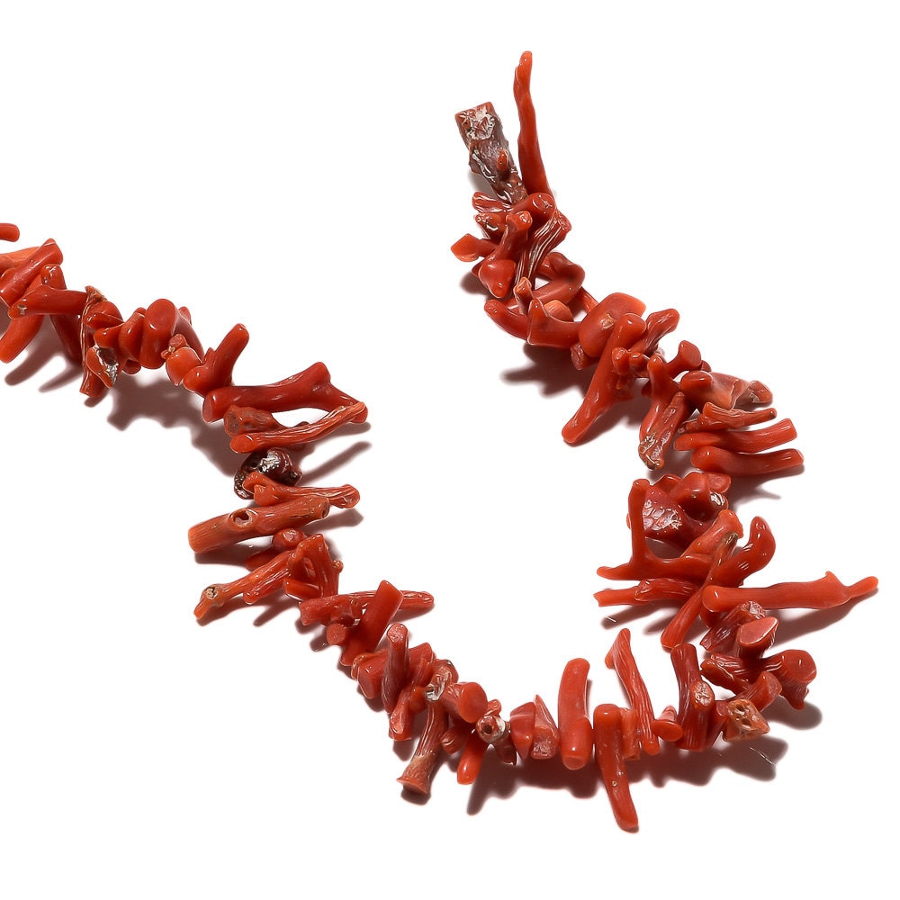 Natural Coral Beads Coral Branch Top Drilled Original - Etsy