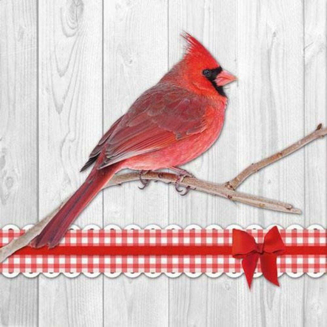 5 Napkins Cardinal Bird 33 X 33cm Tissue Decoupage Paper Party Card ...