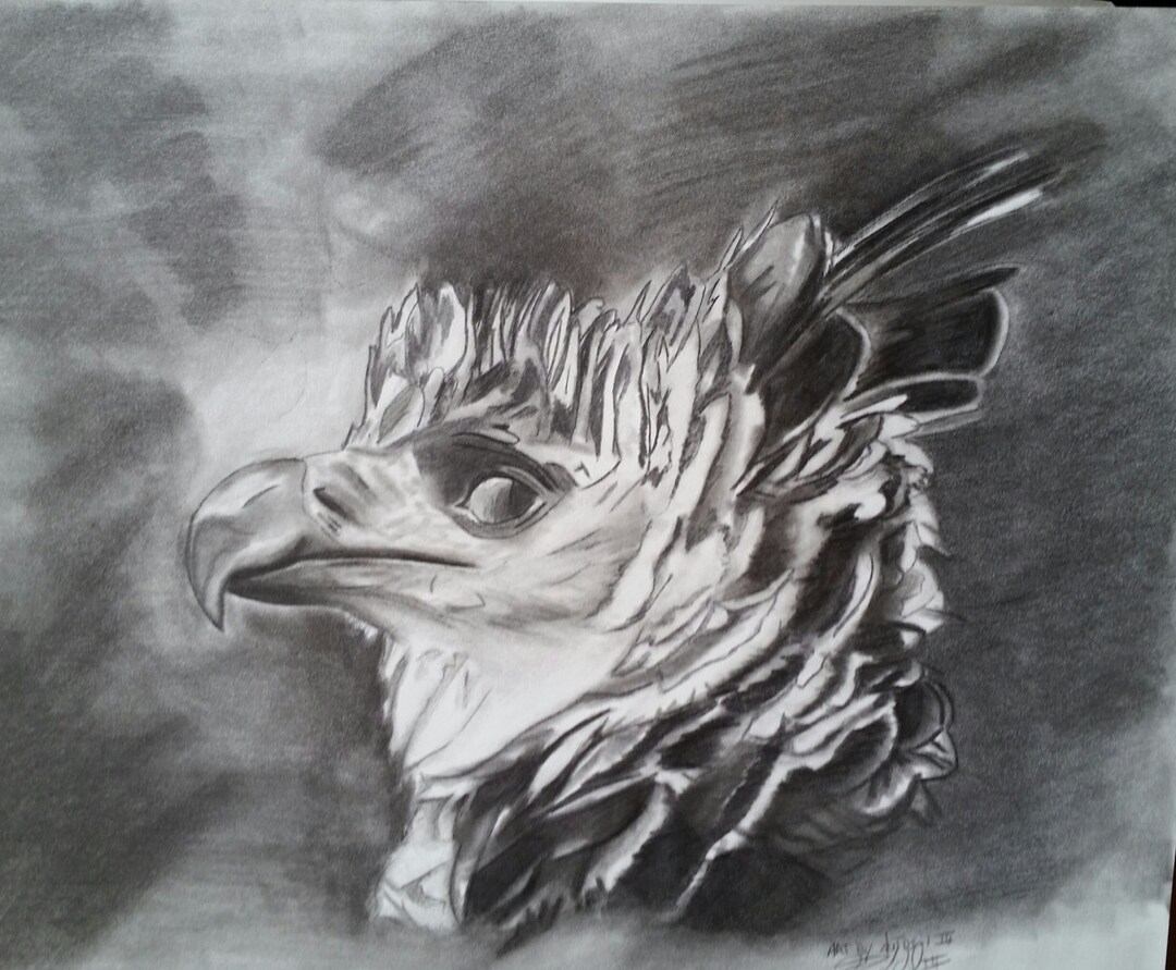 Majesty in Shadow: the Harpy Eagle - Etsy