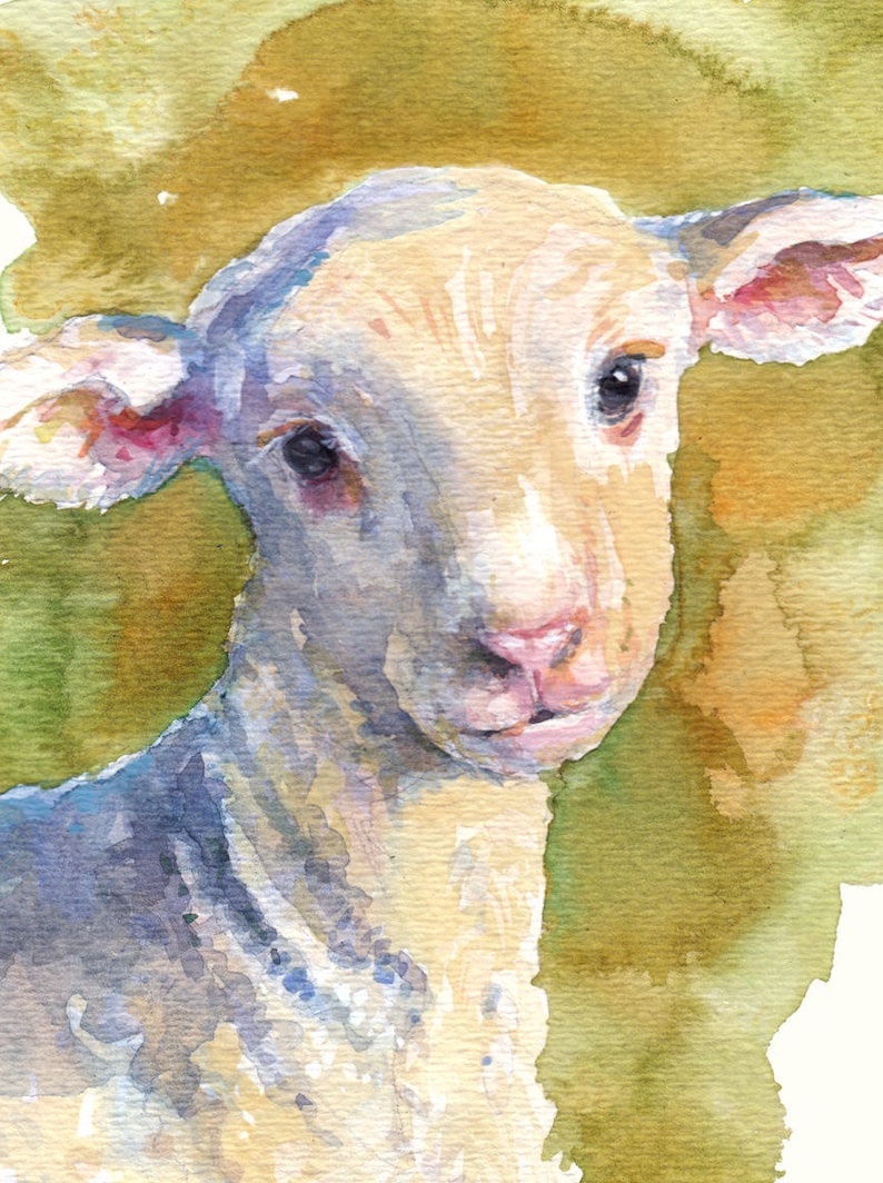 Spring Lamb Watercolor Art Print Print From Original - Etsy