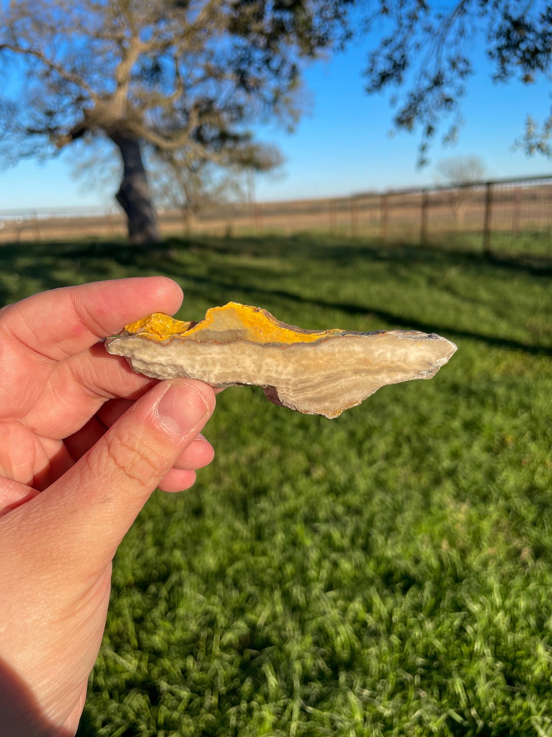 Bumble Bee Jasper Slab / Bumble Bee Slab / Bumble Bee Jasper / Crystal ...