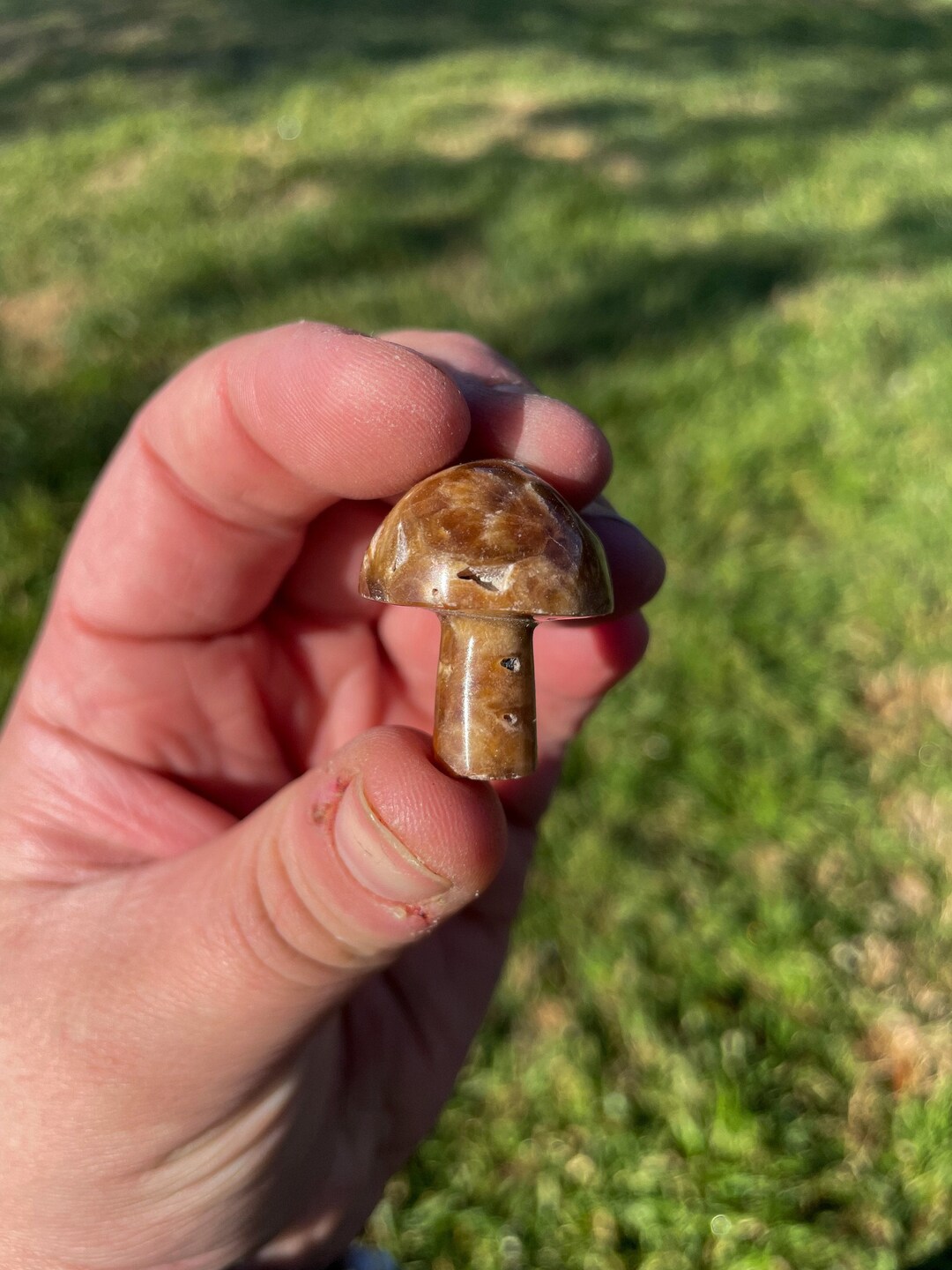 Chocolate Calcite Mushroom AKA Root Beer Calcite or Brown Calcite - Etsy