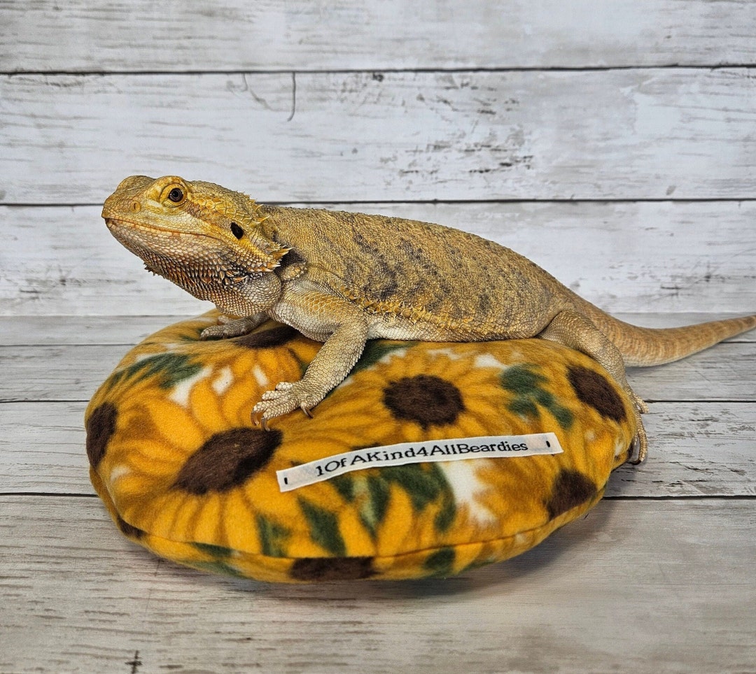 Bearded Dragon Bed Bearded Dragon Bean Bag bed is Similar to a Bean Bag ...