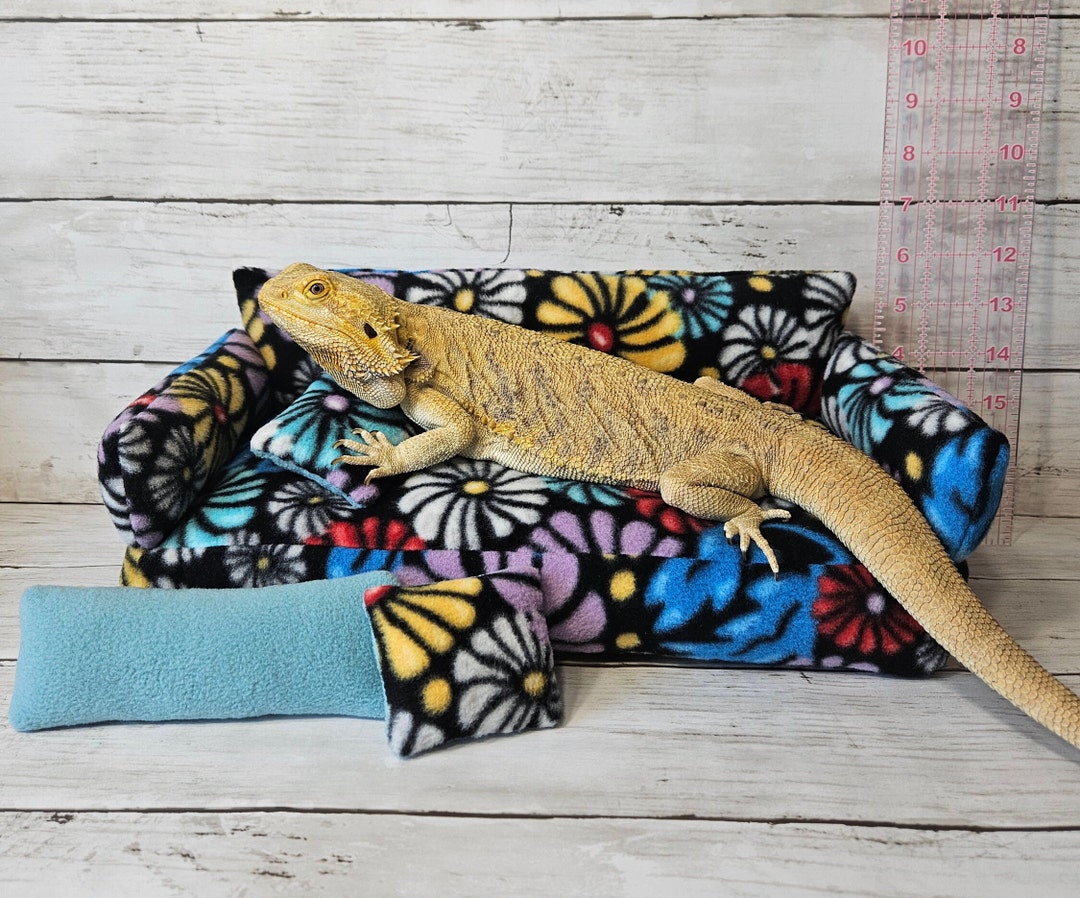 Bearded Dragon Sofa Bearded Dragon Couch Bearded Dragon Bed - Etsy