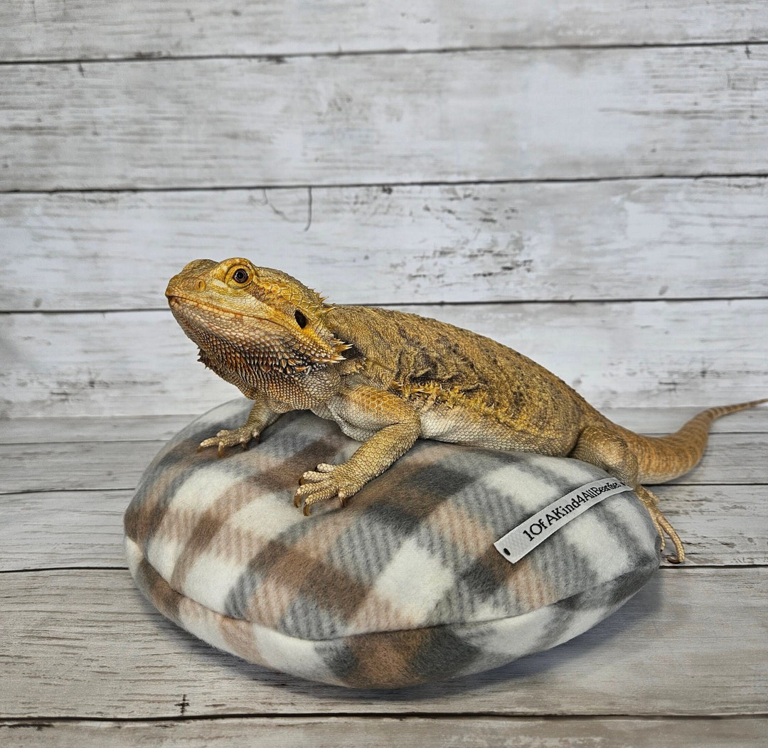 Bearded Dragon Bed Bearded Dragon Bean Bag (bed is Similar to a Bean ...