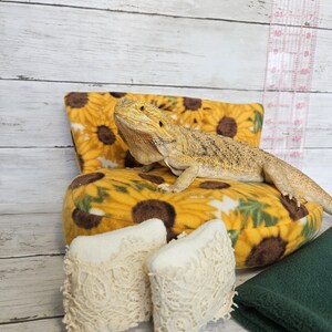 Bearded Dragon Couch Bearded Dragon Bed Bearded Dragon Giant Sofa Chair ...