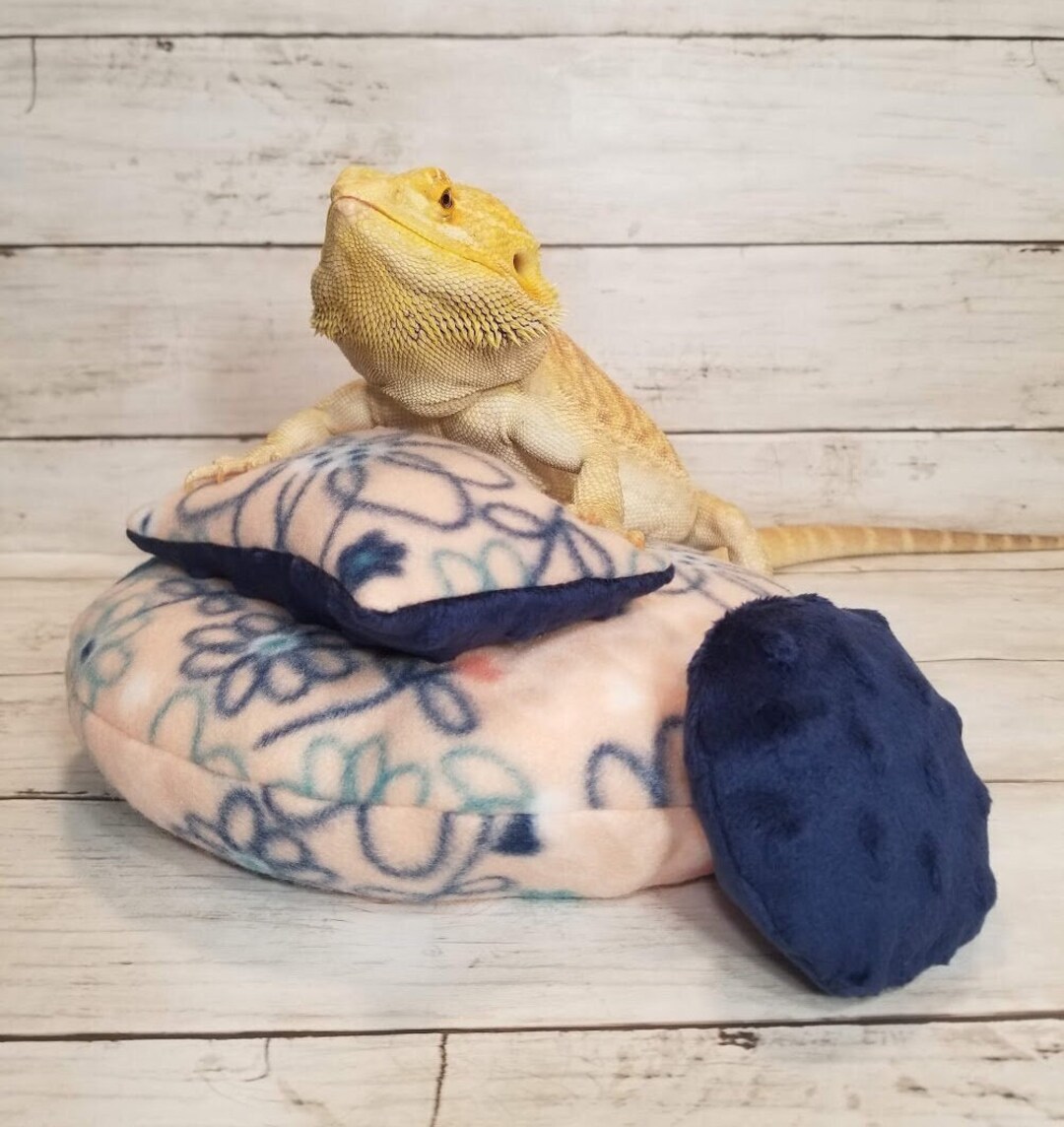 Bearded Dragon Bed (bed is Similar to a Bean Bag) With a Pillow and ...