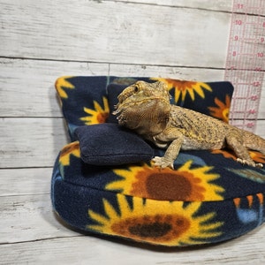 Bearded Dragon Couch Bearded Dragon Bed Bearded Dragon Giant Sofa Chair ...