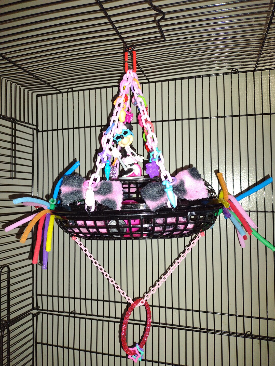 Sugar Glider Basket Forager Minnie Mouse, Includes Toys, Sugar Gliders ...