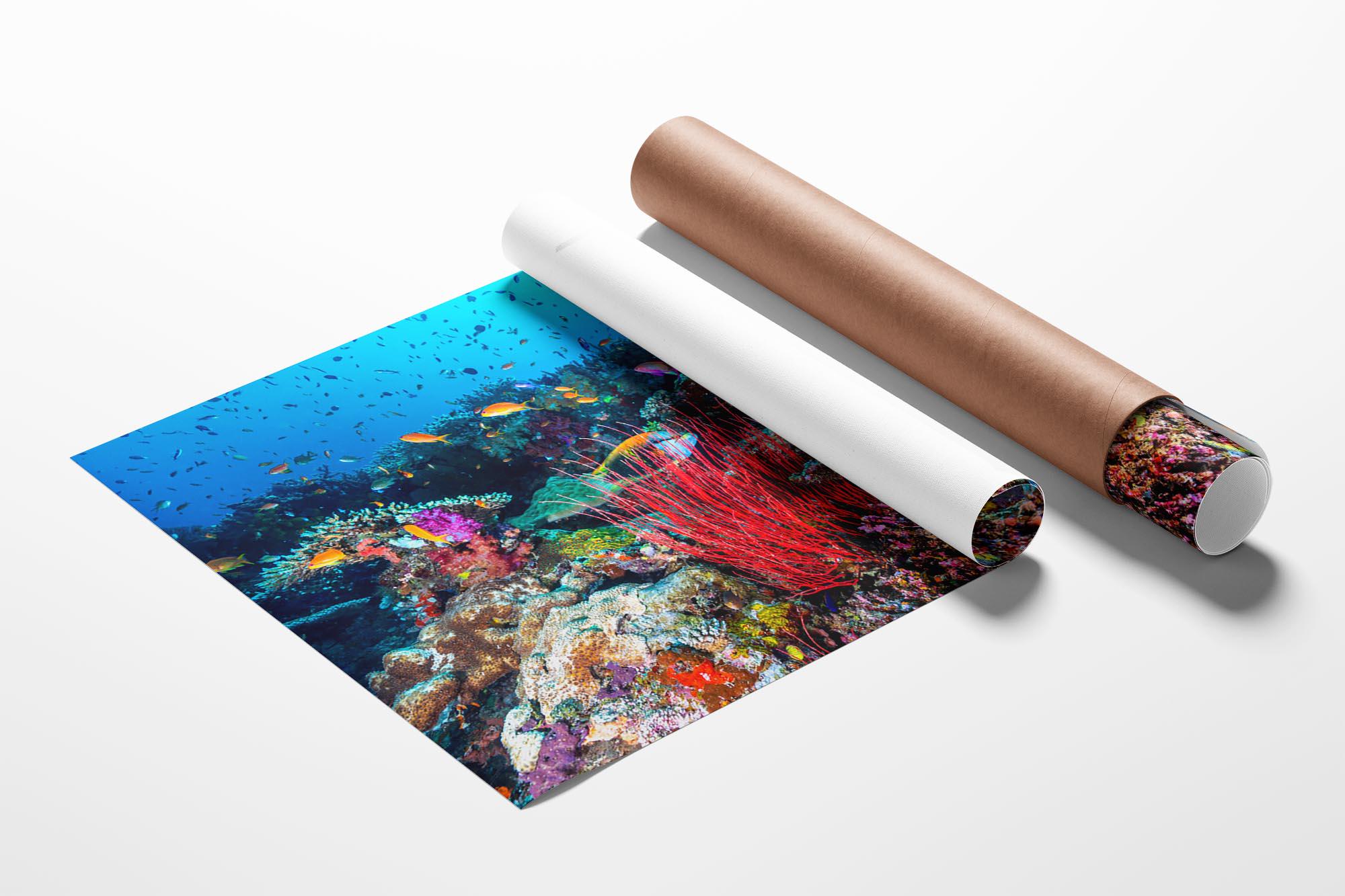 Photo Print | the Rainbow Reef - Coral Reef Print - Etsy
