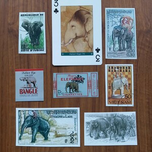 Elephant Paper Ephemera Pack. Elephant Pictures and Notebook. 24 Piece ...