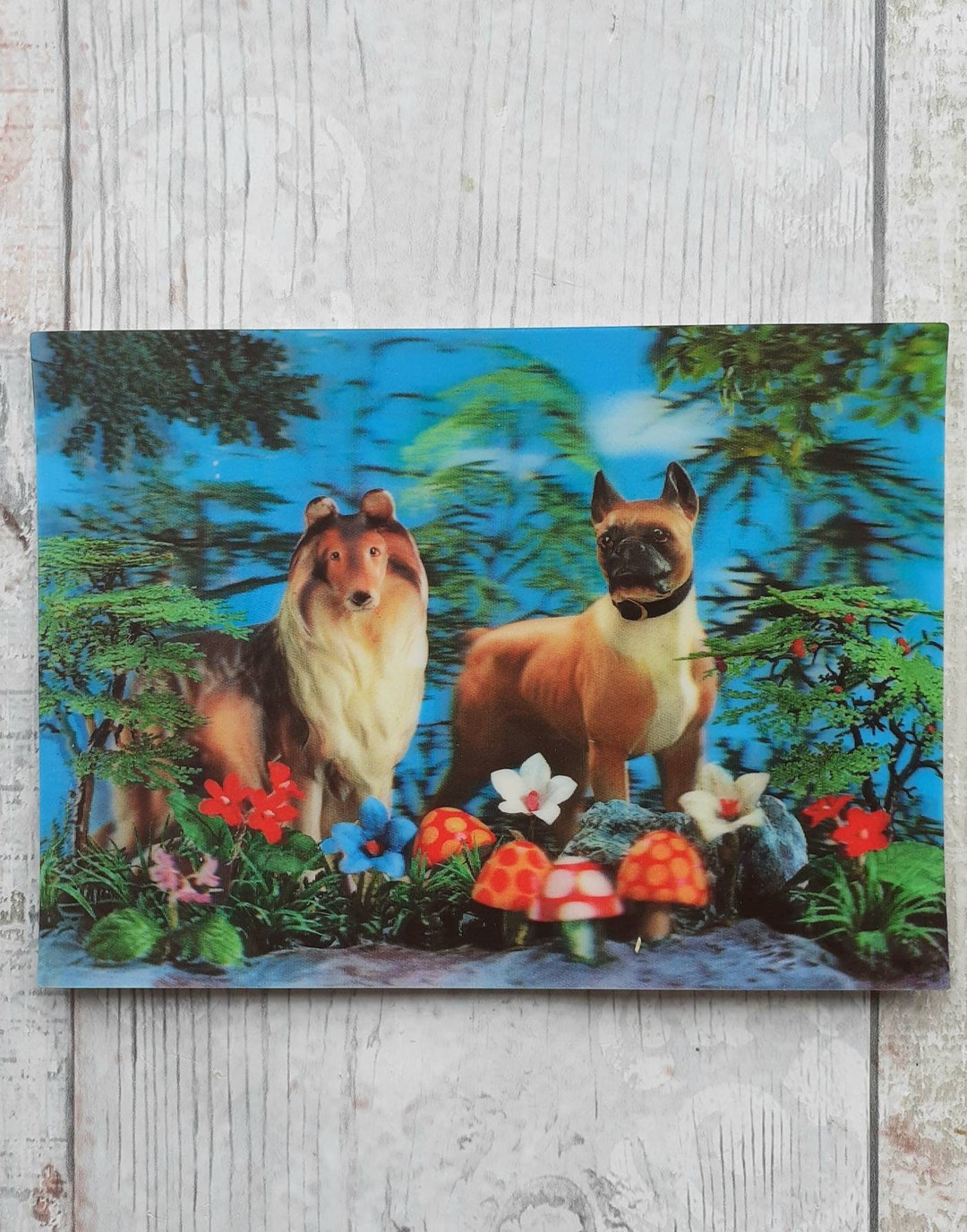 Kitsch 3D Postcard. Toppan Top Stereo Postcard. Two Dogs.boxer Dog ...