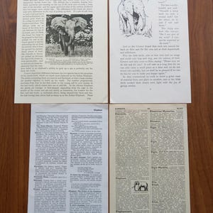 Elephant Paper Ephemera Pack. Elephant Pictures and Notebook. 24 Piece ...