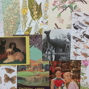 Vintage Paper Ephemera Pack. 75 Piece Mixed Paper Ephemera for ...