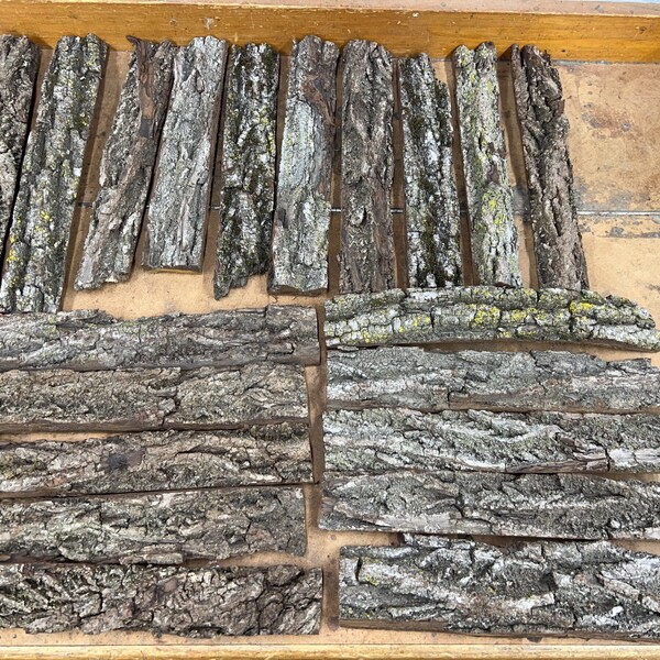 Bark Pieces - Etsy