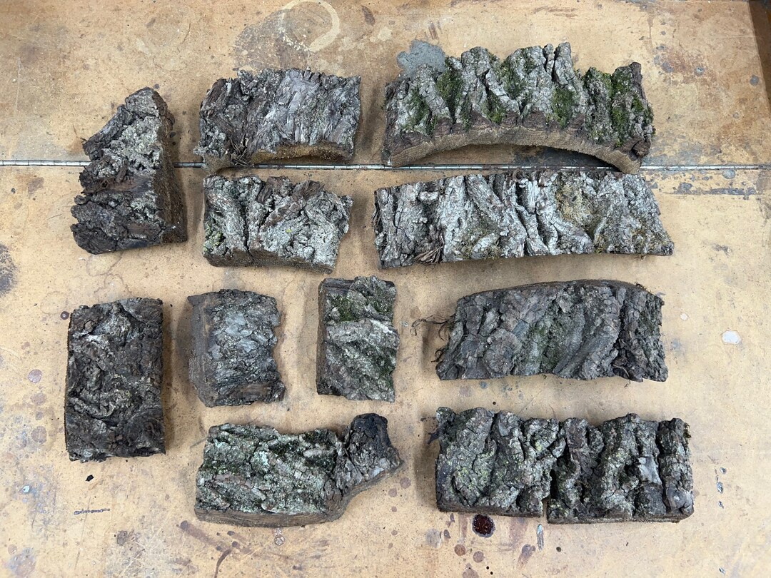 Tree Bark , Black Walnut Tree Bark, Chunky Tree Bark - Etsy