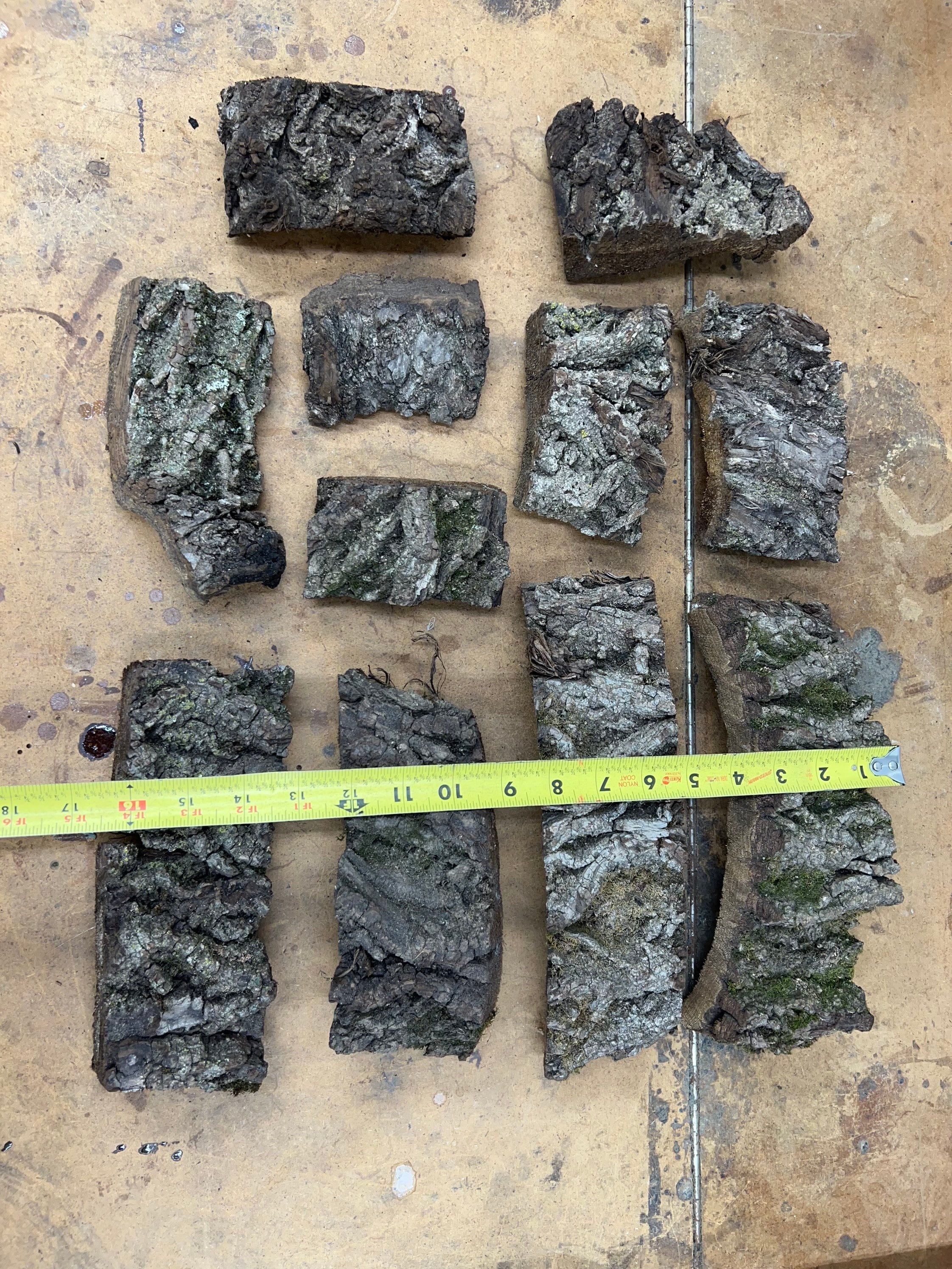 Tree Bark , Black Walnut Tree Bark, Chunky Tree Bark - Etsy