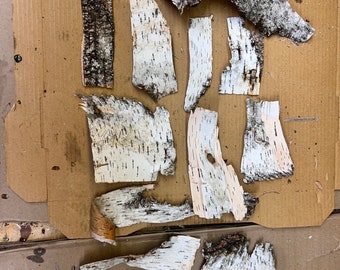 White Birch Bark Printable for Holiday Crafts DIY Instant Download ...