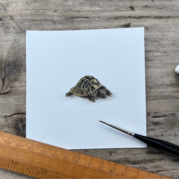 Tortoise Painting - Etsy UK