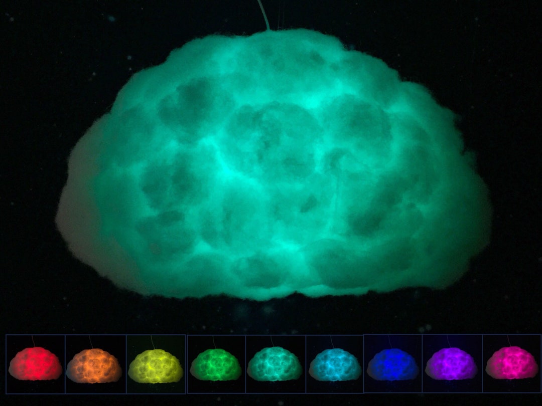 16 Oval Rainbow Cloud Light With Multi-functioning LED Lights Remote ...