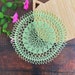 Light Green Crocheted Doily, Lace Doily for Wedding/home Decor, Table ...