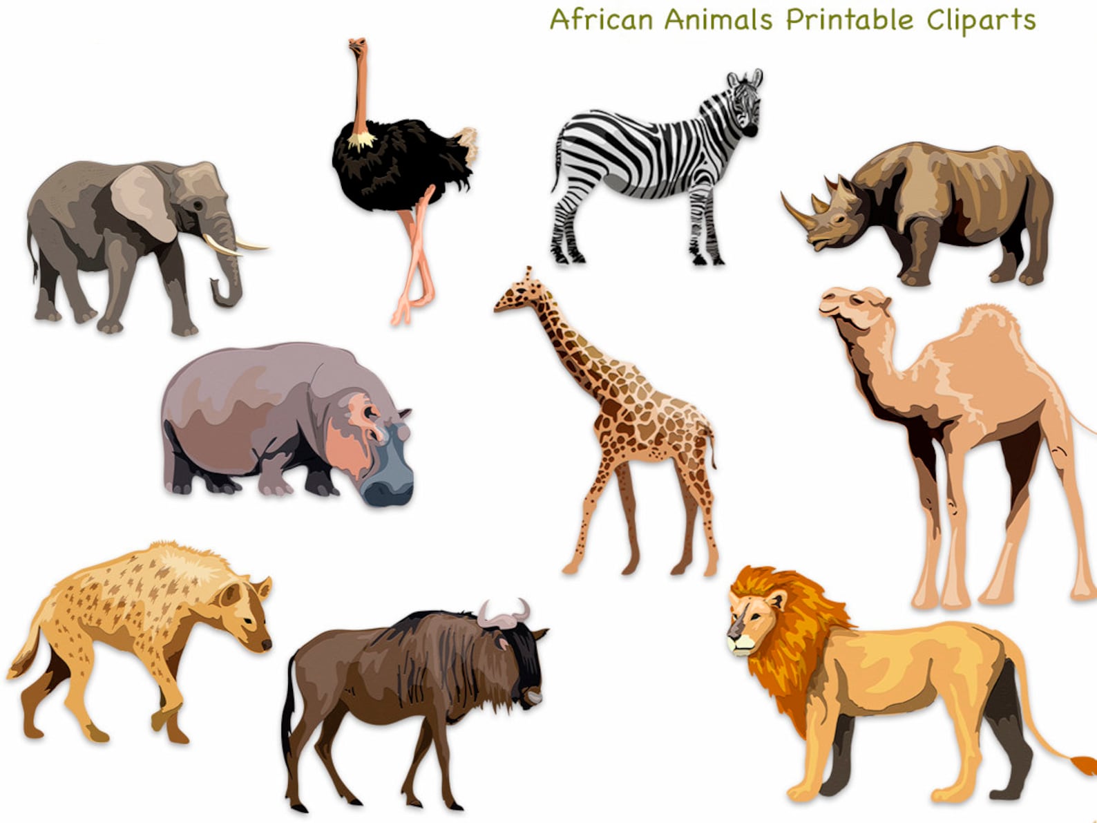 African Animals Clipart Instant Download PNG File 300 Dpi | Etsy