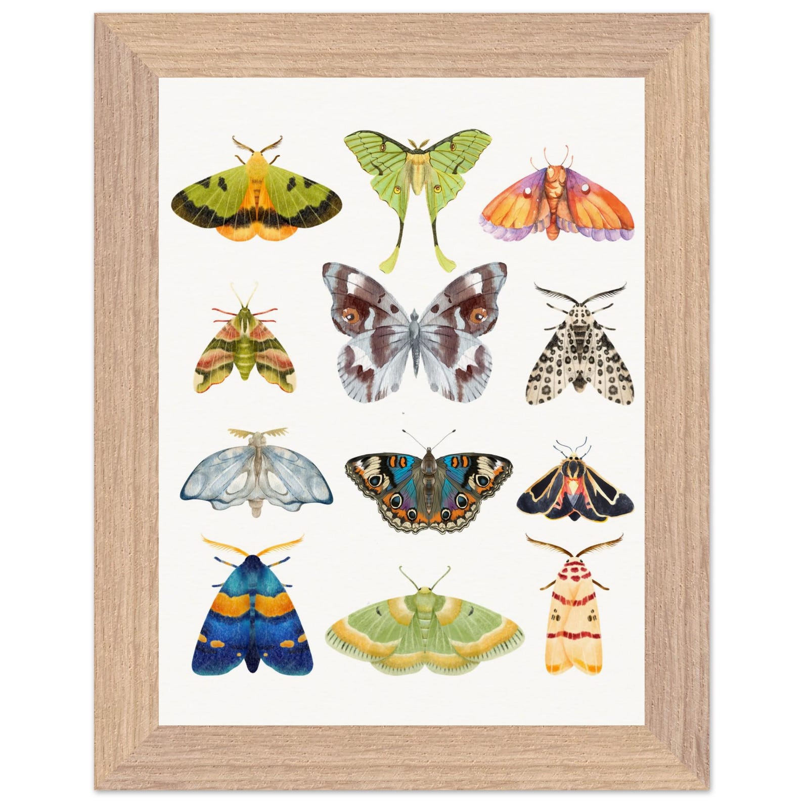 Cottagecore Moth & Butterfly Art Print – Framed Nature Poster - Etsy