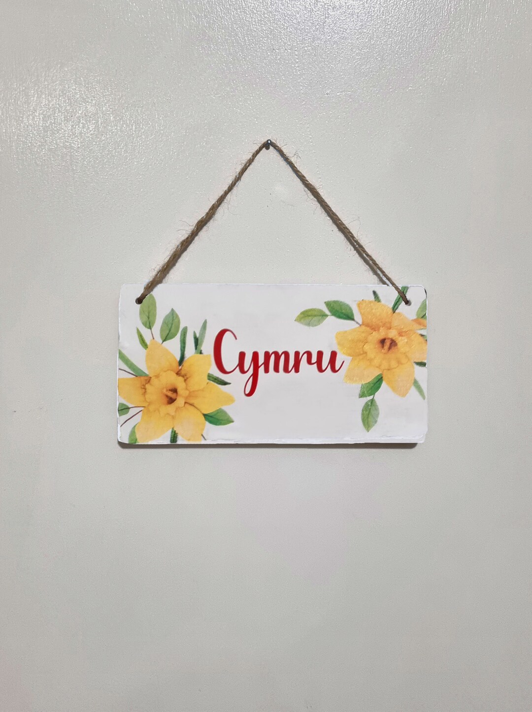 Cymru Door Sign, Welsh Hanging Signs, Wooden Signs, Wales, St Davids ...