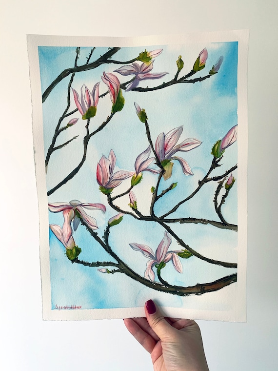 Pink Magnolia Tree Drawing