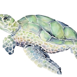 Kemp's Ridley Watercolor Print. Sea Turtle Art Print. Turtle ...