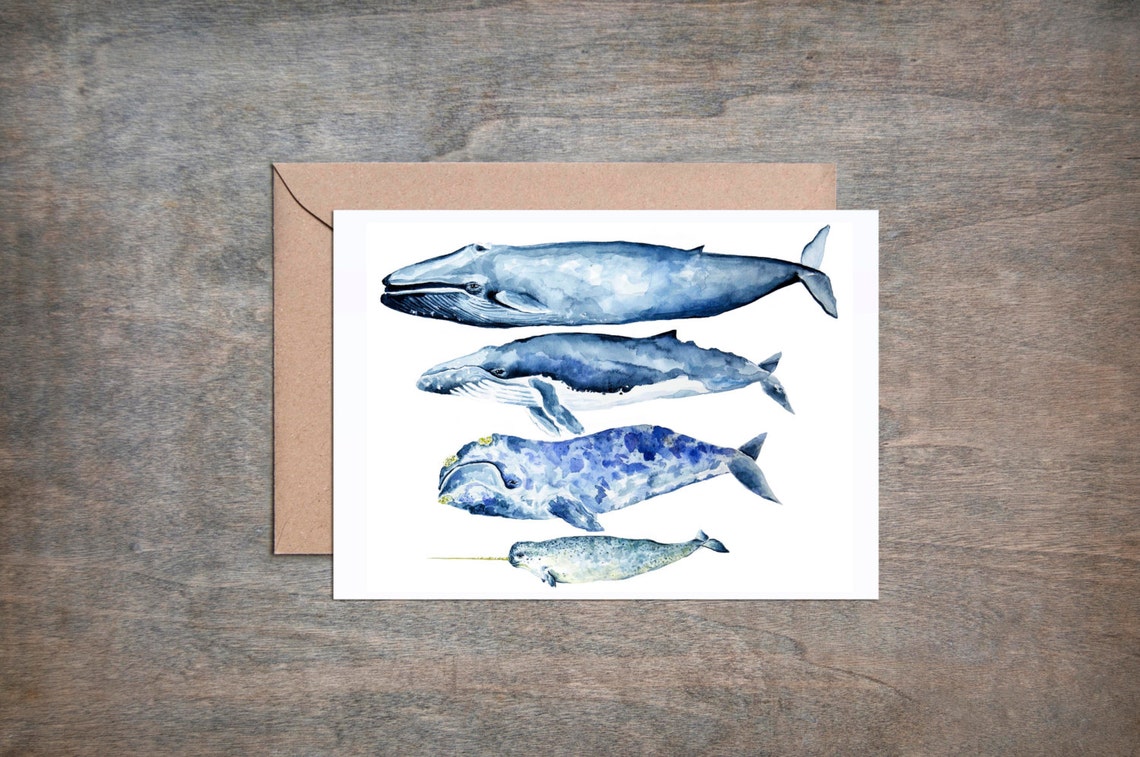 Four Whales Heading West Blank Note Cards Set of 4. - Etsy
