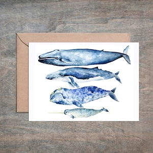 Four Whales Heading West Blank Note Cards - Set of 4. Scientific ...