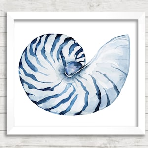 Nautilus Watercolor Print. Nautilus Art Print. Blue Shell. Nautilus ...