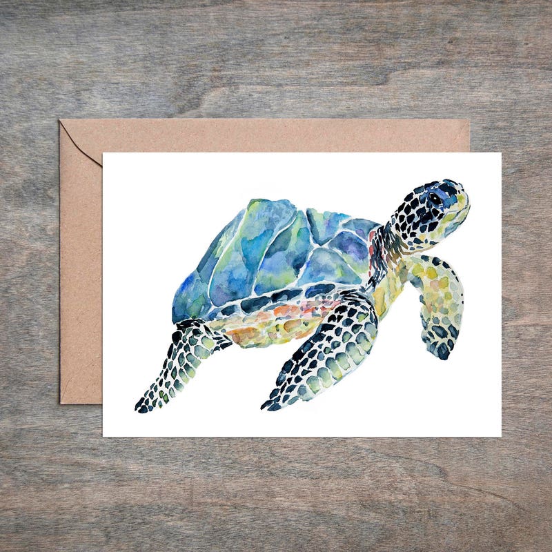 Turtle Card - Etsy
