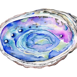 Abalone Watercolor Print. Shell Art. Watercolor Art Print. Ocean Art ...
