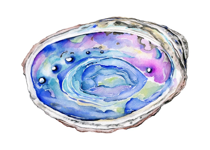 Abalone Watercolor Print. Shell Art. Watercolor Art Print. Ocean Art ...