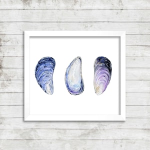 Three New England Mussels Watercolor Print. Mussel Art. Watercolor Art ...