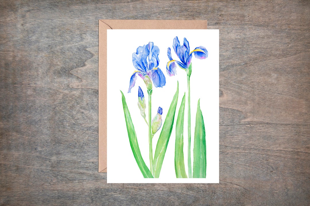 Blue Iris Card, Iris Watercolor Floral, Single Card or Set of 4, Blank ...