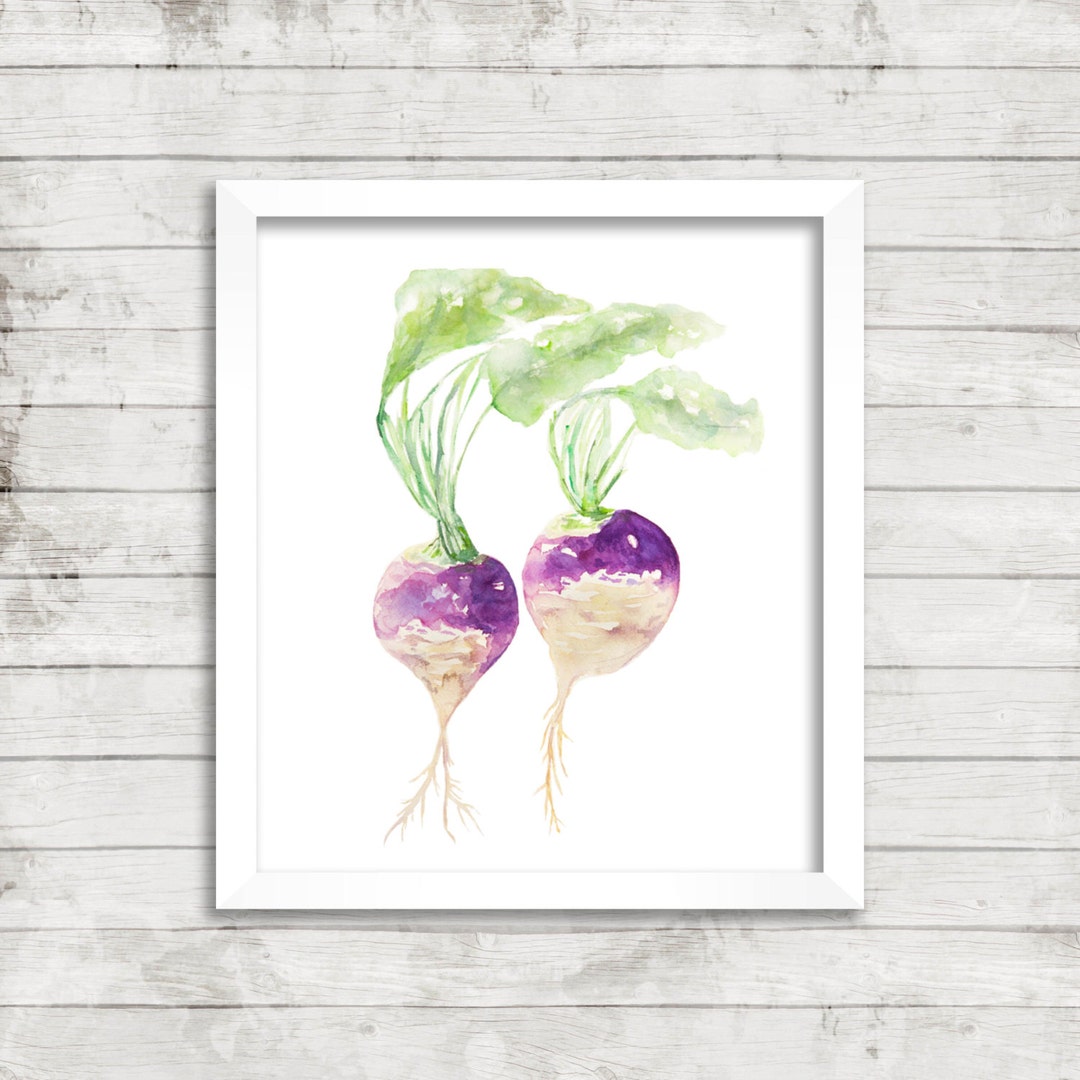 Turnip Watercolor Print. Vegetable Watercolor. Vegetable Art. Veggie ...