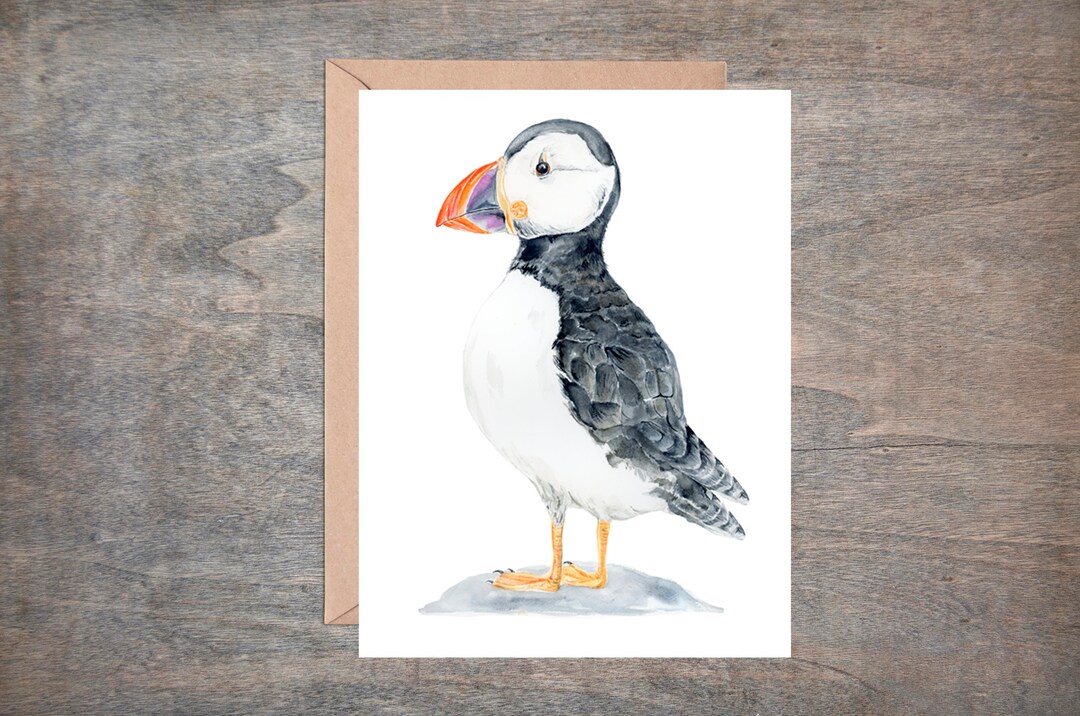 Seal Island Puffin Card. Single Card or 4 Card Set. Blank Card ...