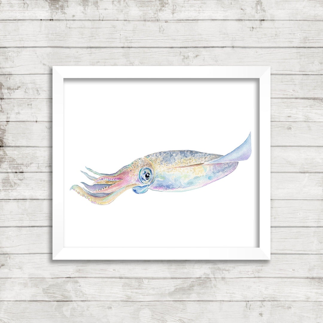 Cuttyhunk Harbor Squid Print. Watercolor Squid Art Print. Fine Art ...