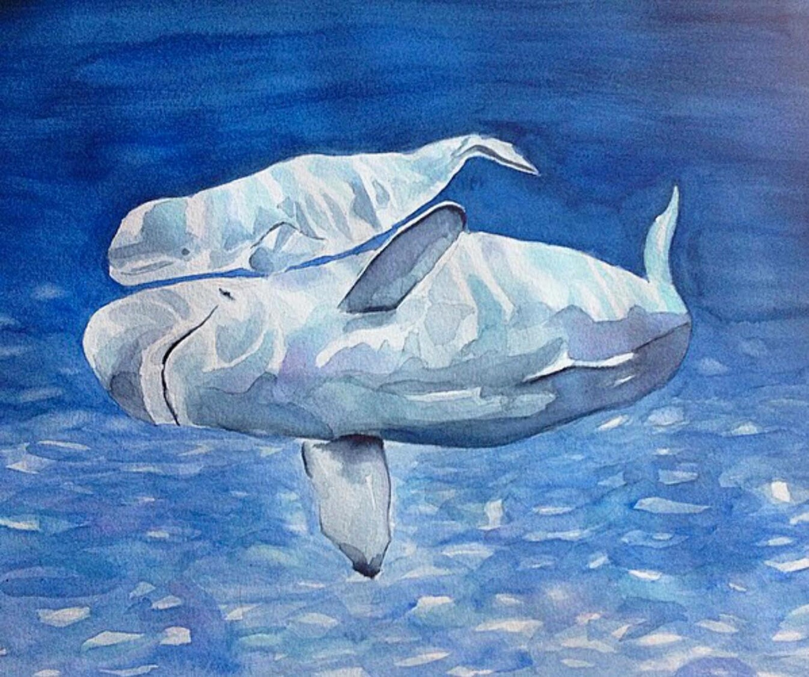 Baby Beluga and Mum - Archival Giclée Print - Whale Watercolor ...