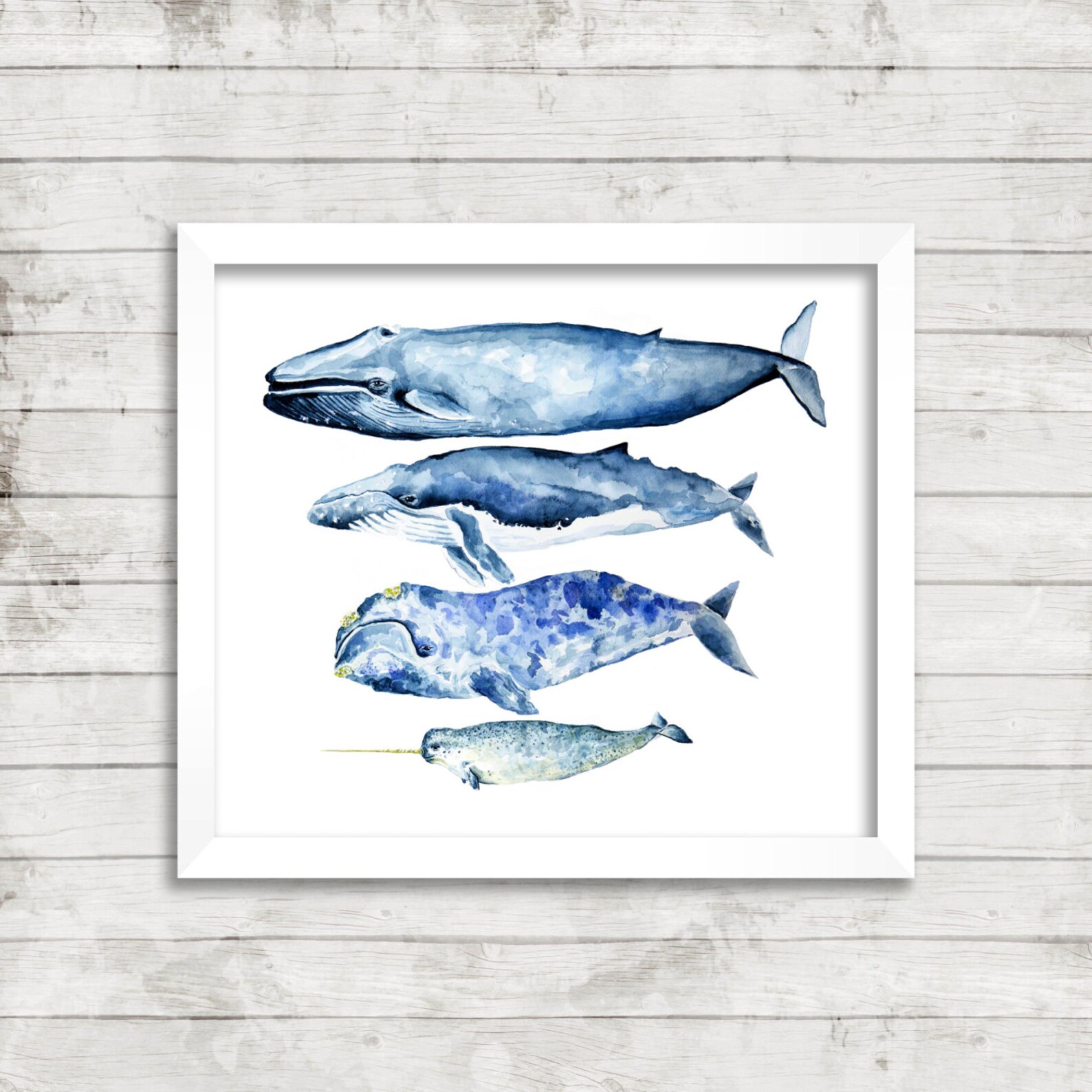 Whale Watercolor Print. Whale Art. Narwhal Print. Coastal - Etsy