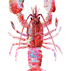 Lobster Watercolor Print, Red Lobster, Lobster Illustration, Nautical ...