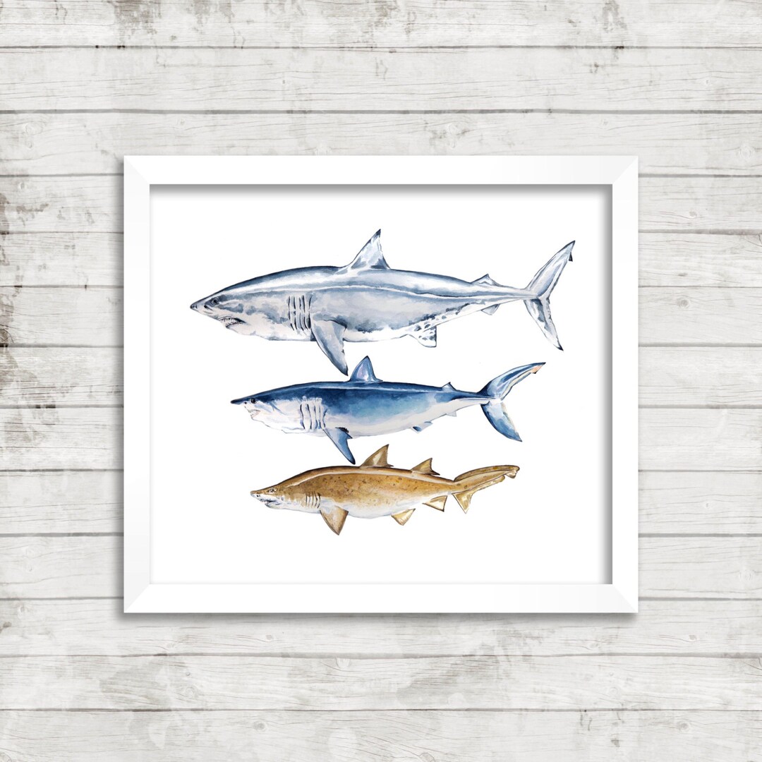 Shark Watercolor Print. Shark Art. Coastal Decor. Nautical Decor ...